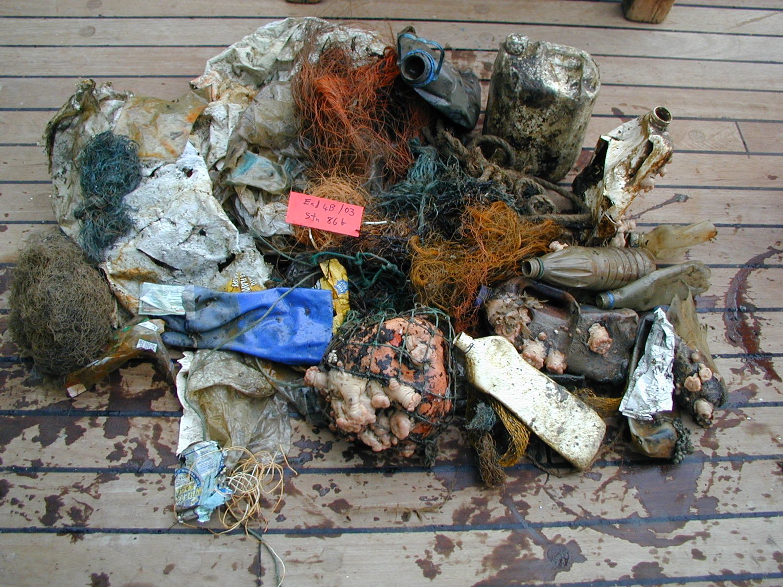 Composition and Spatial Distribution of Litter on the Seafloor