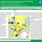 Subtidal Habitats of the Southern North Sea